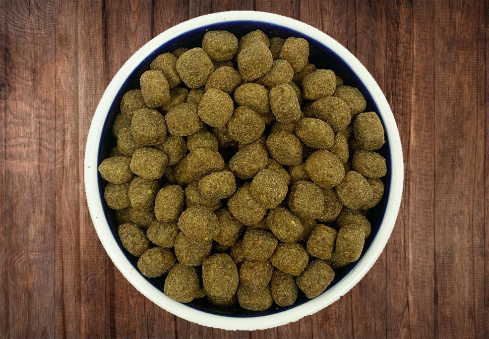 Mackenzie Super Premium Chicken with Rice Gluten Free Dry Dog Food