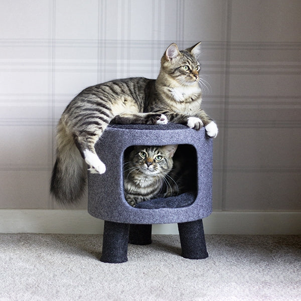 Rosewood Catwalk Collection Charcoal Cat Stool House 35 x 35 x 37 cm